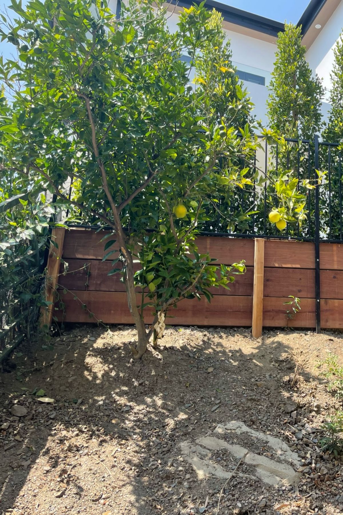 fence services - LA Gates Repair